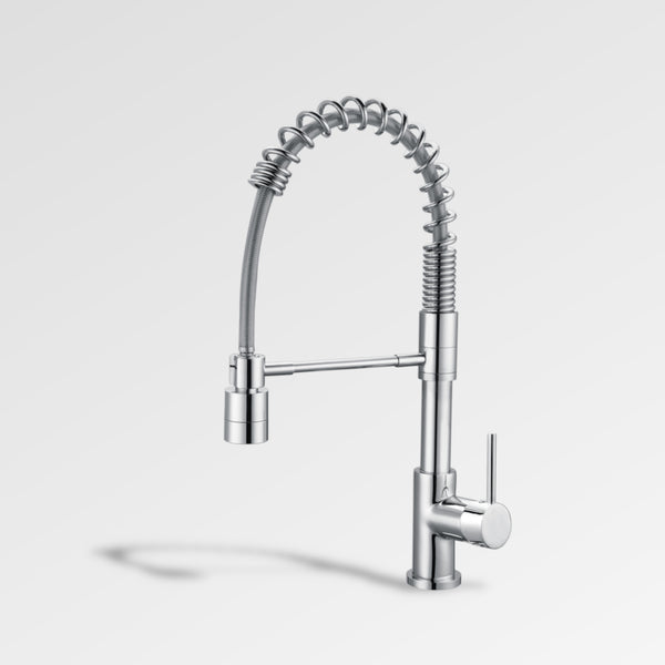 NIRVANA Coiled Spring Kitchen Mixer with Spray Function ...